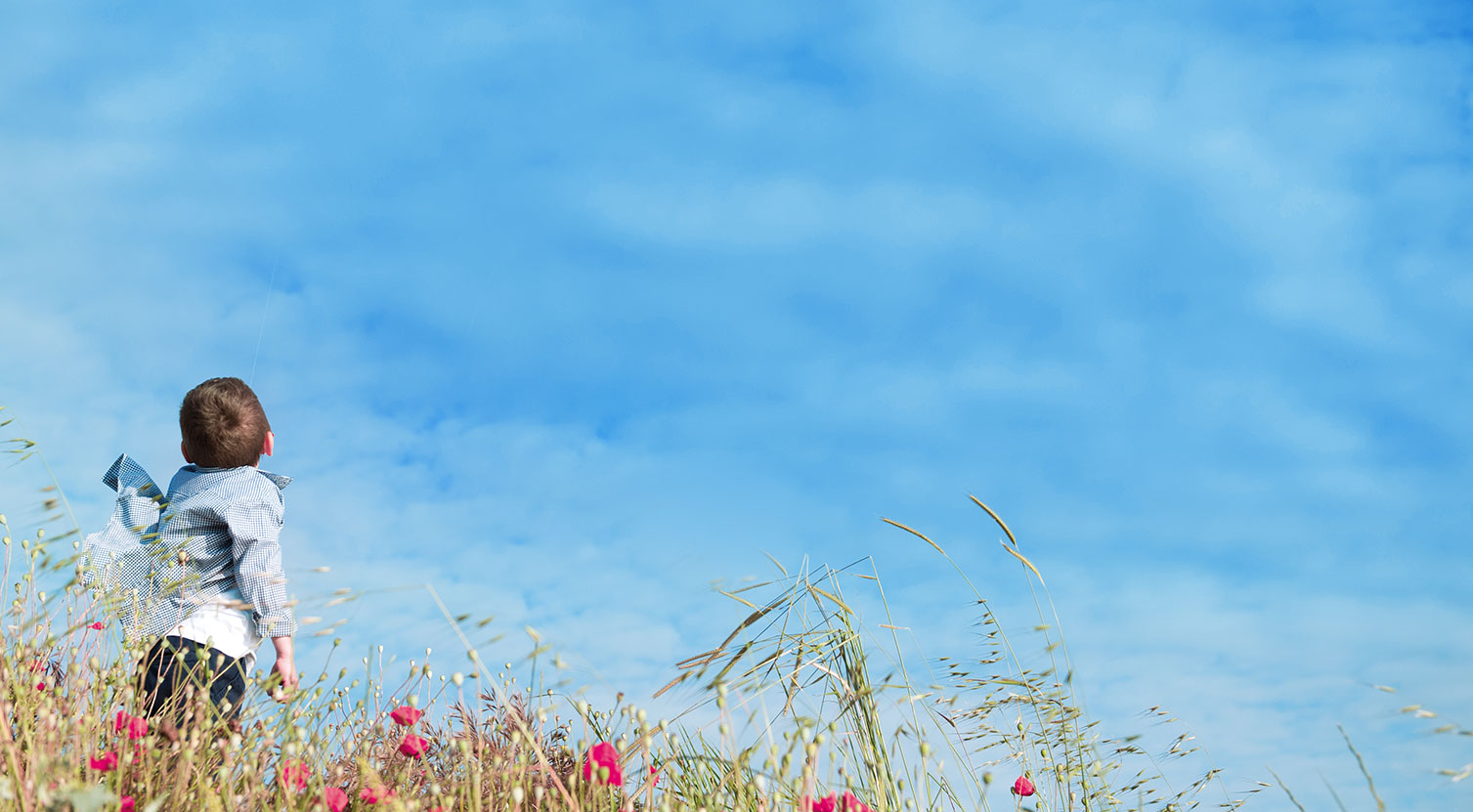 caly-toys.fr | TimBird – Presentation